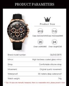 OLEVS 2875 Chronograph Watch Luxury Sport - OLEVS WATCHES