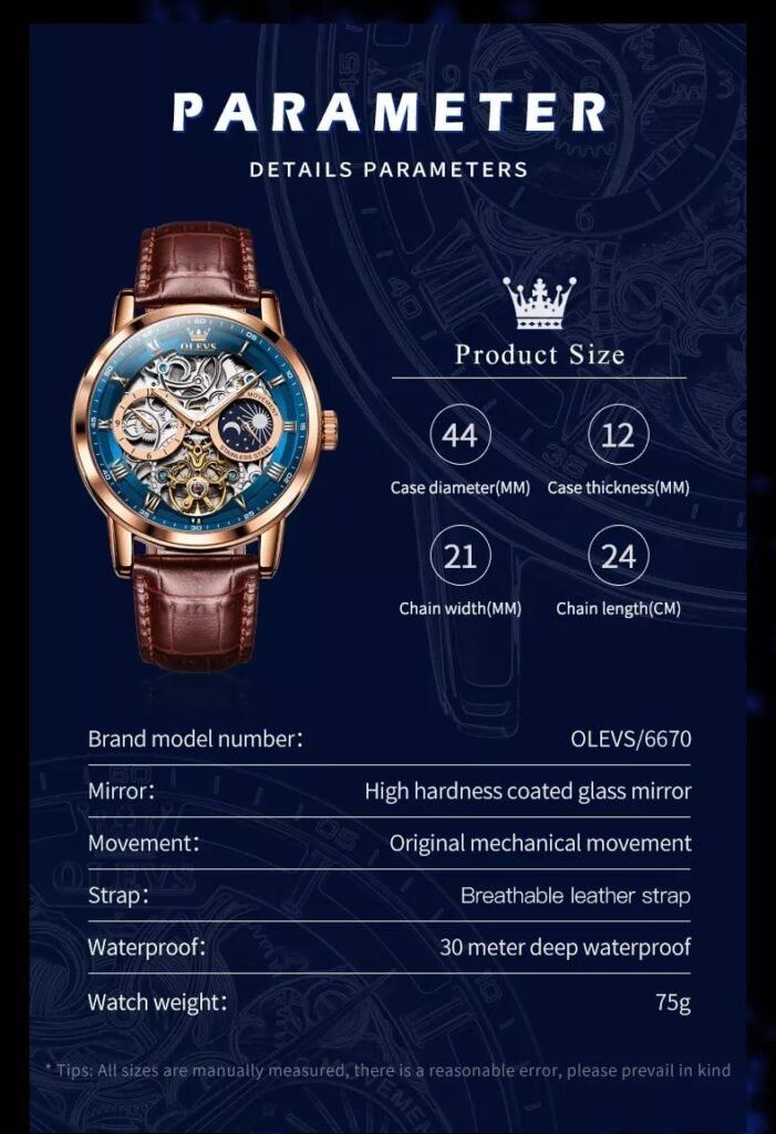 OLEVS Watch 6670 Fully Automatic Mechanical Movement - OLEVS WATCHES