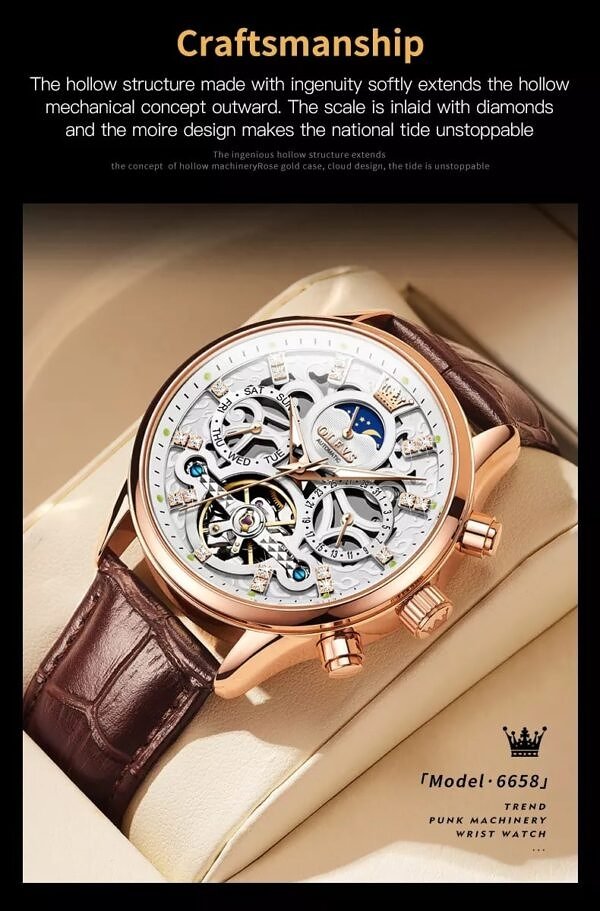 Olevs Watch 6658 Tourbillon Luxury Watch - OLEVS WATCHES