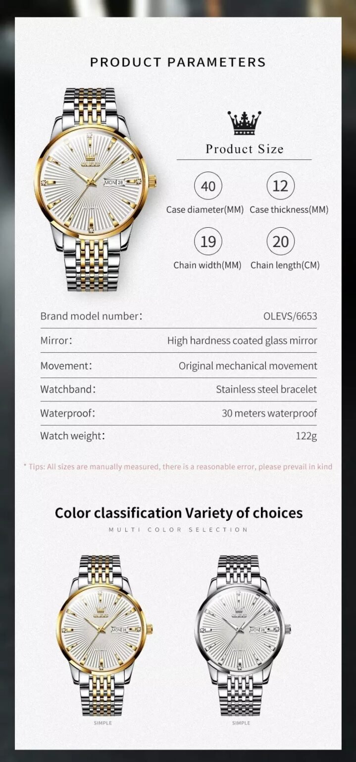 OLEVS Watch 6653 Tourbillon Automatic Mechanical Watch - OLEVS WATCHES