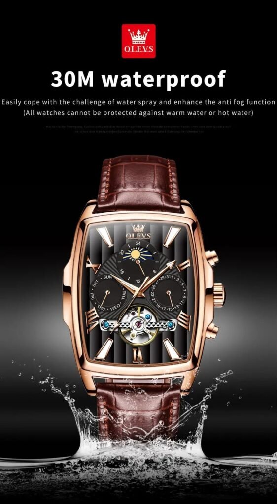OLEVS Watch 6675 Luxury Mechanical Watch with Leather Strap - OLEVS WATCHES
