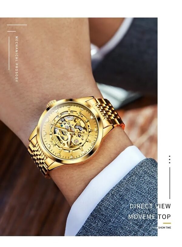 OLEVS 9920 Luxury Mechanical Watch - OLEVS WATCHES