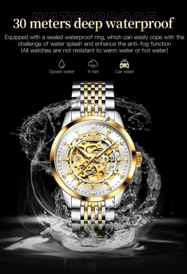 OLEVS 9920 Luxury Mechanical Watch - OLEVS WATCHES