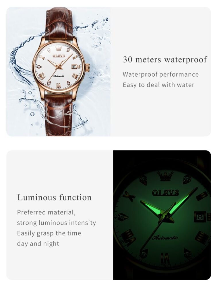 Olevs 9932 Original Mechanical Movement - OLEVS WATCHES