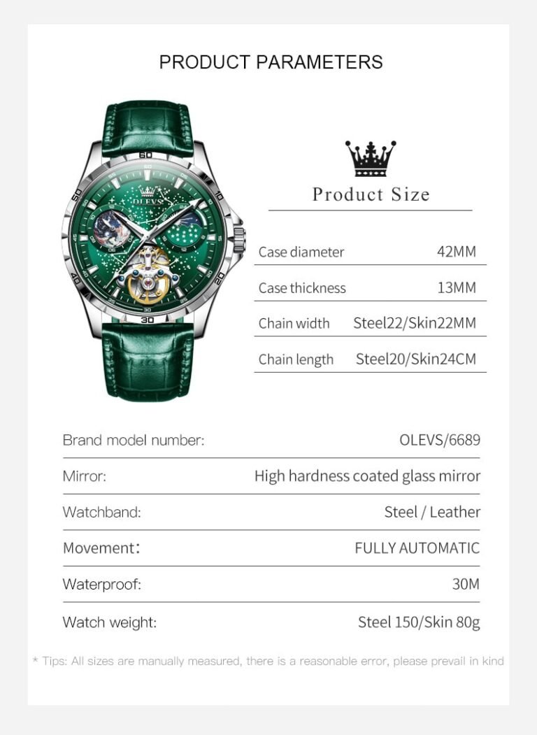 OLEVS 6689 Luxury Skeleton Automatic Men's Watch - OLEVS WATCHES