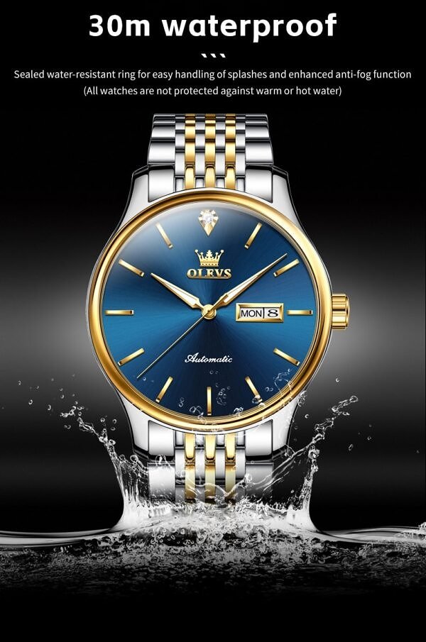 Olevs 9960 Automatic Mechanical Luxury Wrist Watch - OLEVS WATCHES